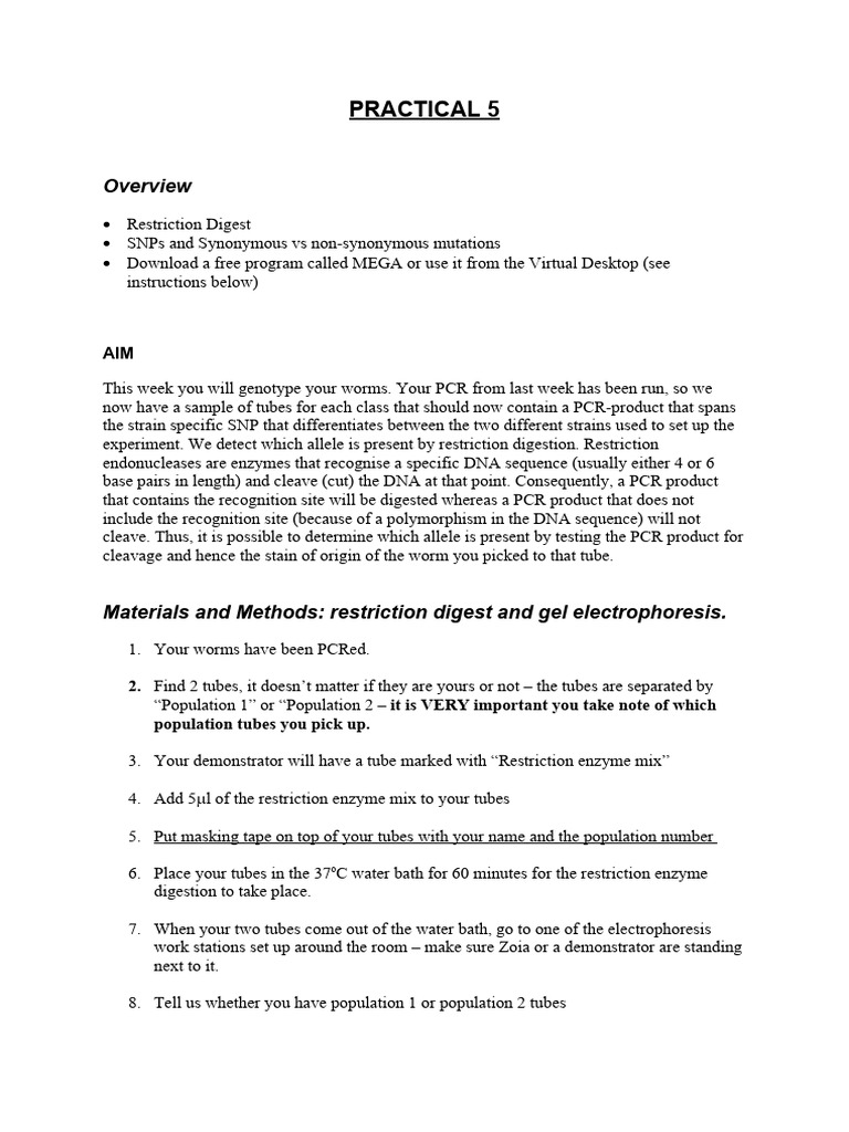 Practical 5 | PDF | Gel Electrophoresis | Agarose Gel Electrophoresis