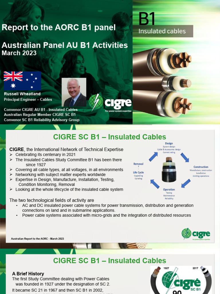 AORC Report on Insulated Cables 2023 | PDF | Electric Power ...