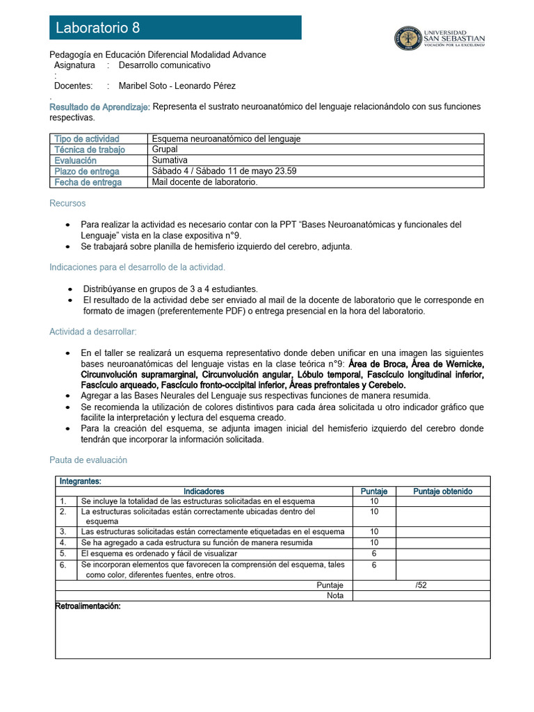 Labotarorio 9 - Esquema Neuroanatómico Del Lenguaje | PDF | Cerebro | Lóbulo temporal