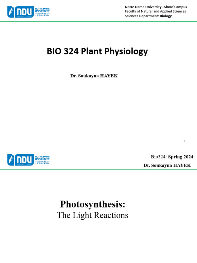 BIO 324-Chap7,8 | PDF | Photosynthesis | Chloroplast