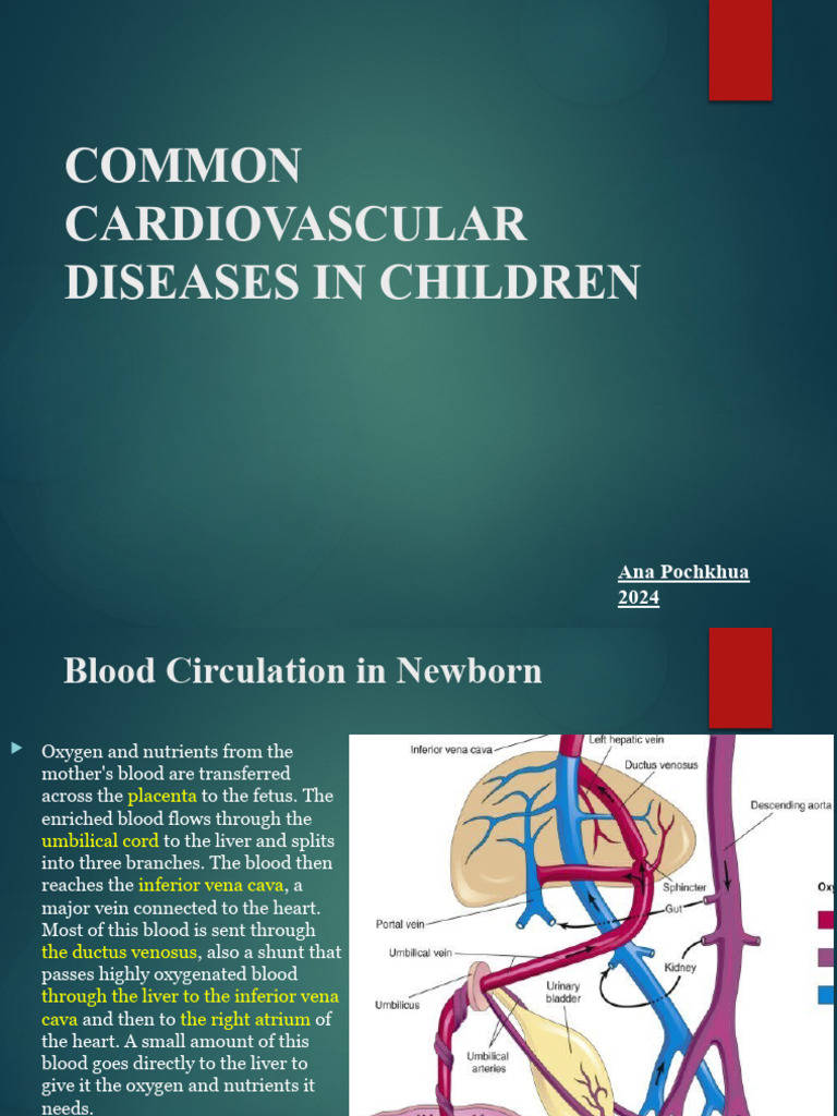 3. COMMON CARDIOVASCULAR DISEASES IN CHILDREN | Download Free PDF ...
