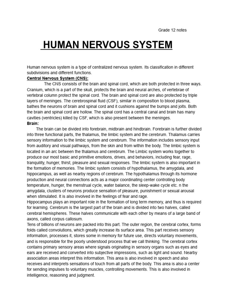 Grade 12 Notes | PDF | Autonomic Nervous System | Nervous System