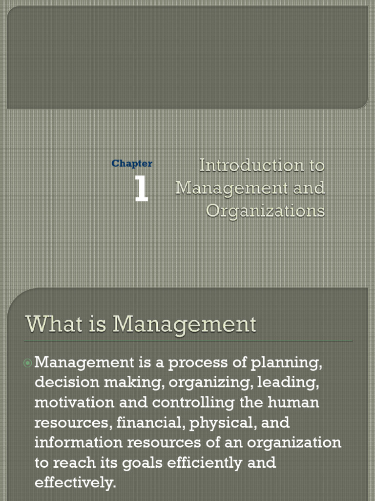 Management Chap 01 | PDF | Goal | Social Psychology