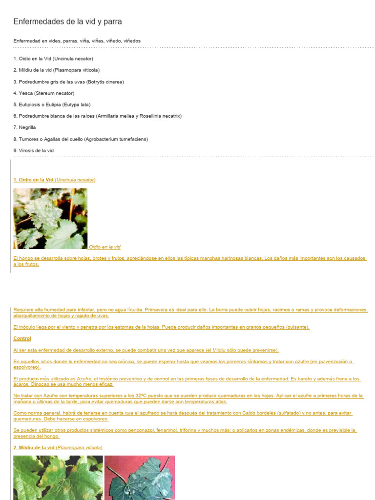 Enfermedades de La Vid y Parra | PDF | Virus | Viticultura Enfermedades de La Vid y Parra | PDF | Virus | Viticultura