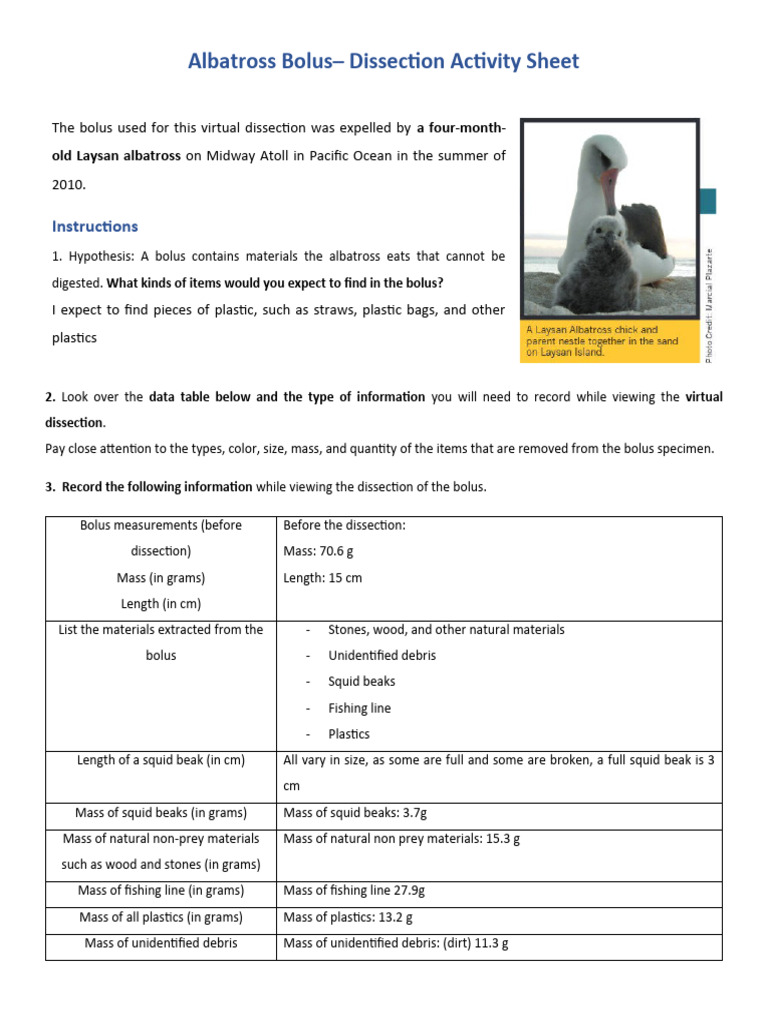 Albatross Bolus | PDF