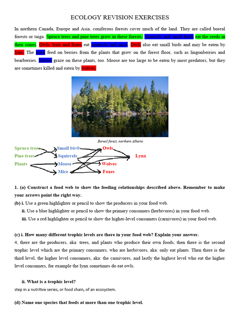 Ecology Revision Work | PDF | Food Web | Foods