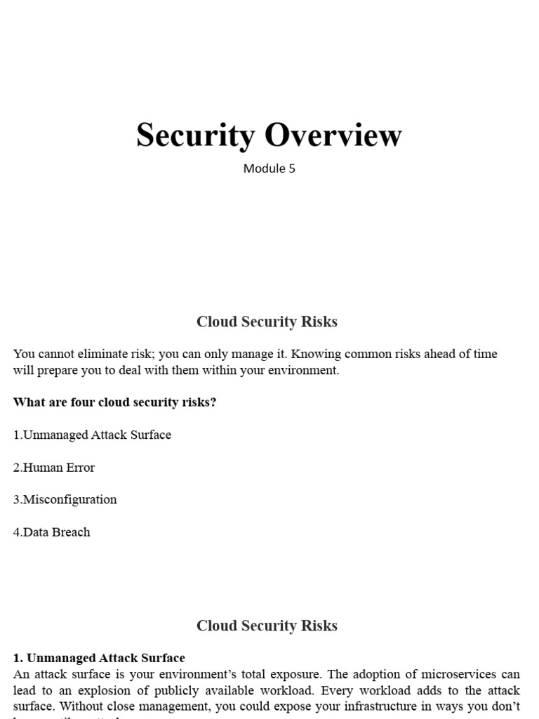 Managing Cloud Security Risks | PDF | Cloud Computing | Security