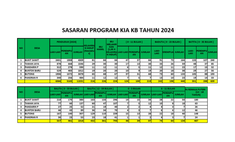Sasaran Program Gizi Kia Tahun 2024 Pusdatin | PDF
