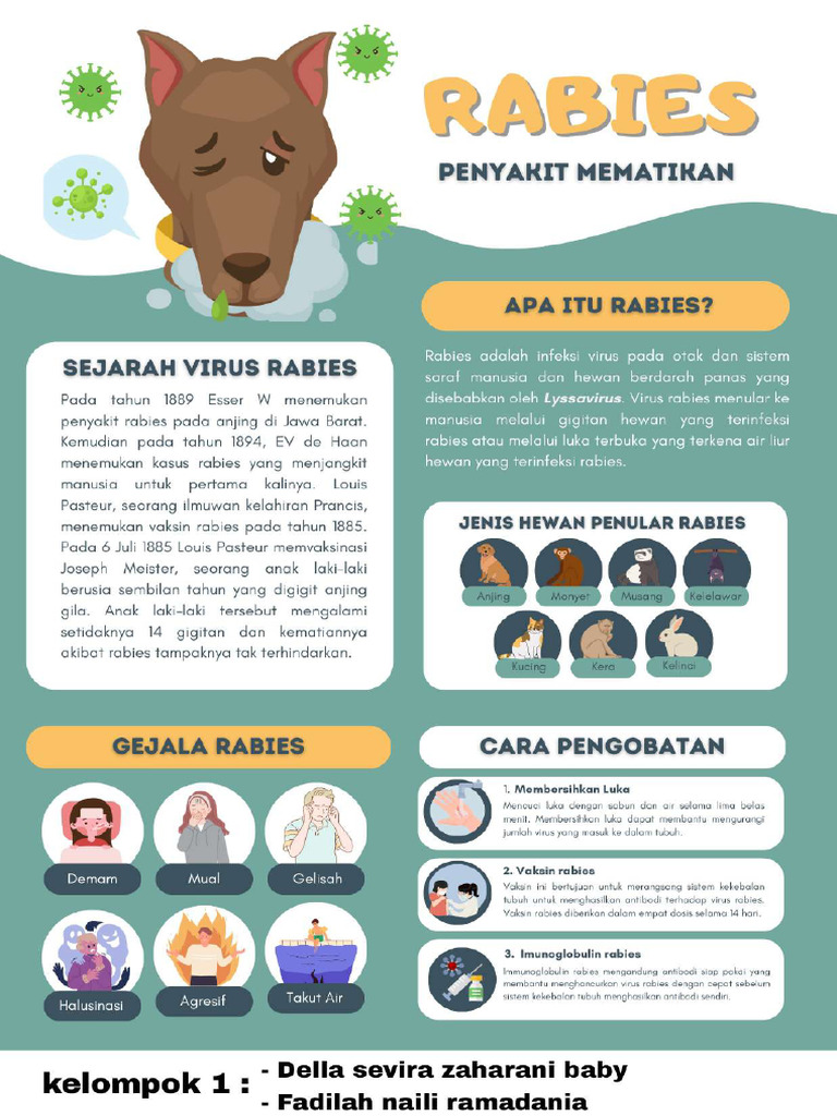 Kelompok 1 - Rabies | PDF