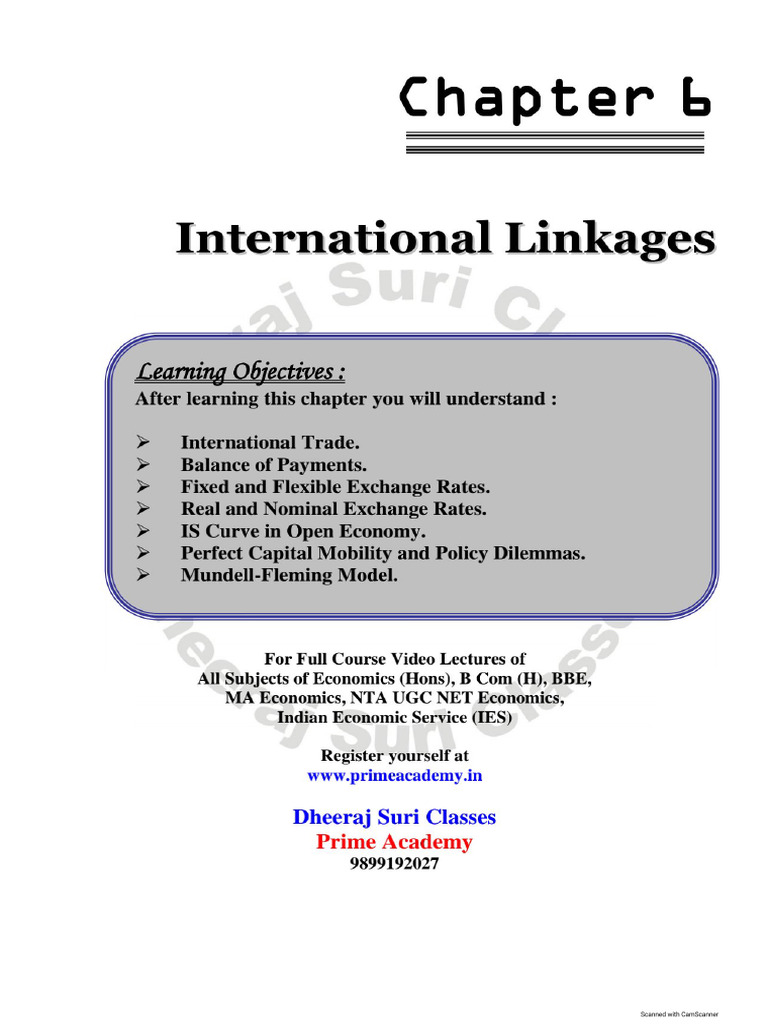 Chapter 6 International Linkages | PDF
