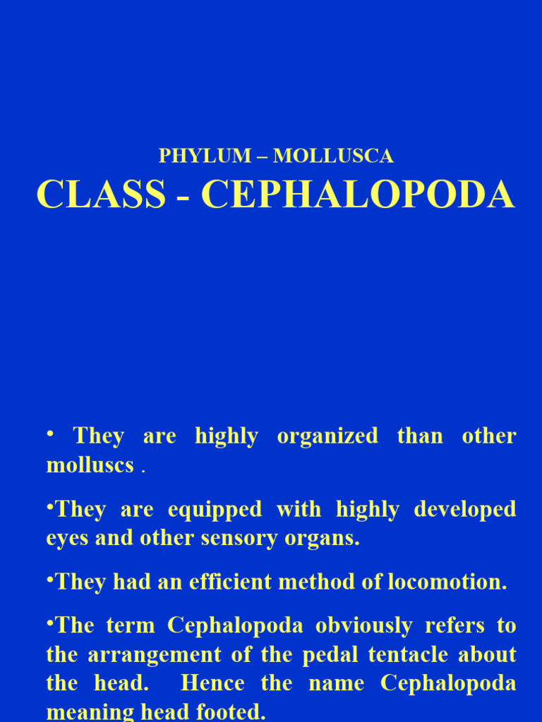 Cephalopoda: Anatomy and Classification | PDF | Molluscs