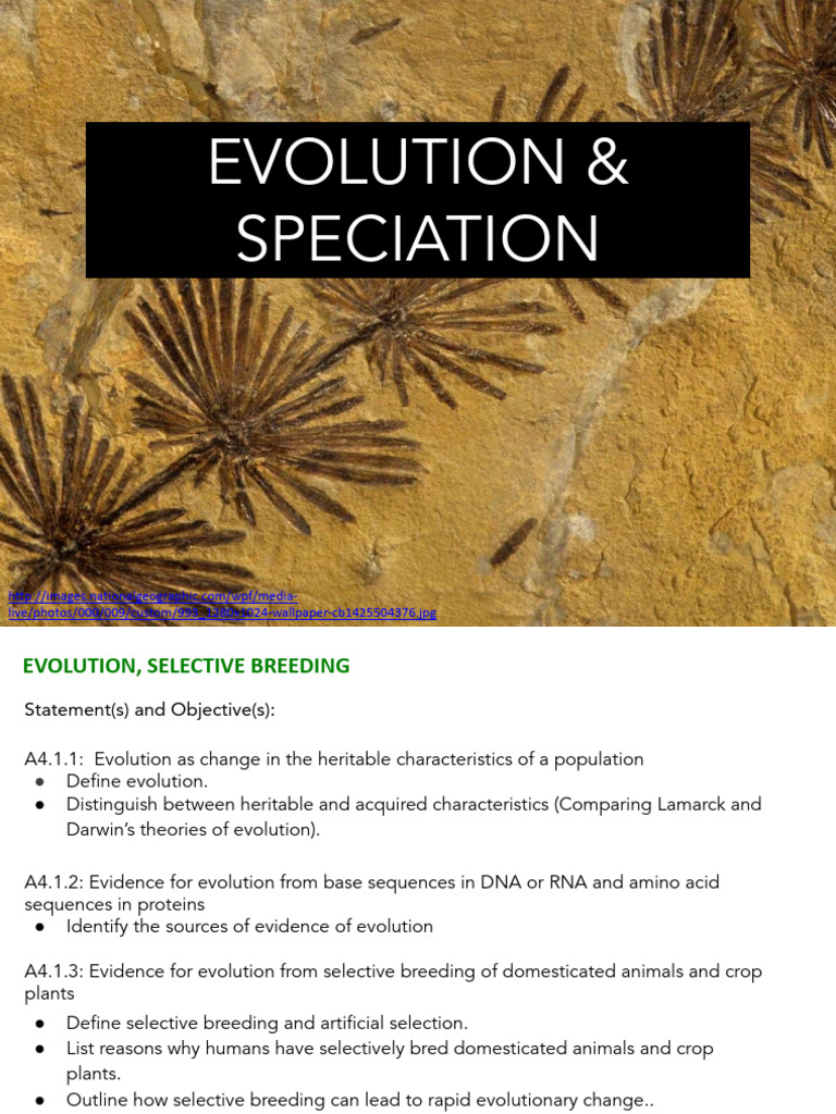 Biology 11 - Evolution & Selective Breeding | PDF | Evolution | Natural Selection