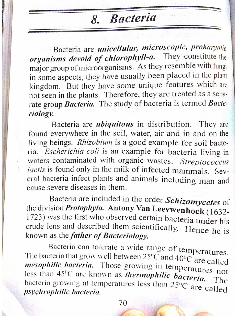 Bacteria Notes | PDF