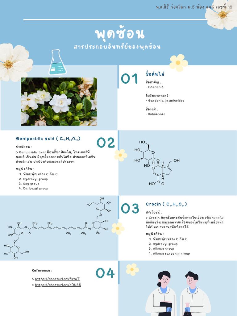 Blue Illustrative Health Medical Clinic Document A4 | PDF