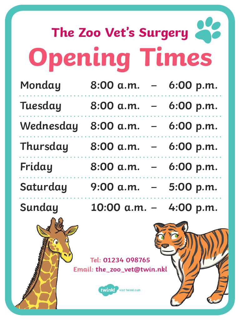 Zoo Vet Surgery Role Play | PDF