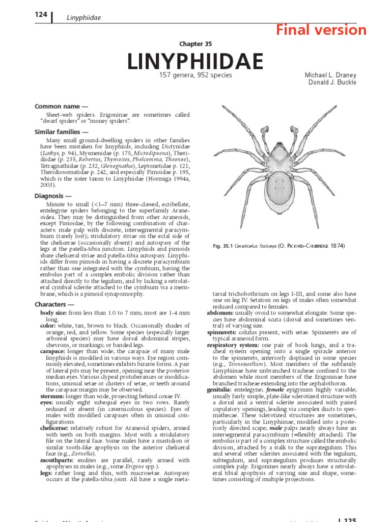 Linyphiidae FV | PDF | Spider | Arachnids