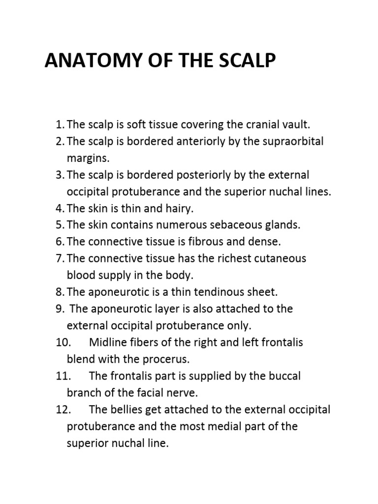 ANATOMY OF THE SCALP! | Download Free PDF | Human Head And Neck | Human ...