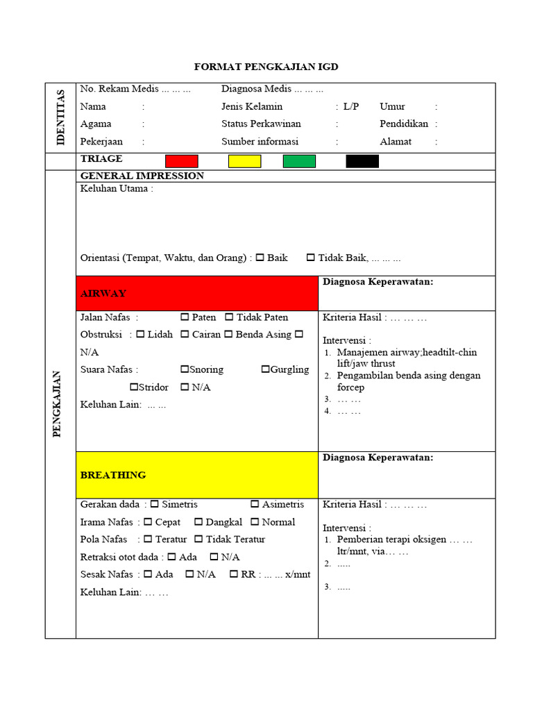 Format Pengkajian Igd | PDF