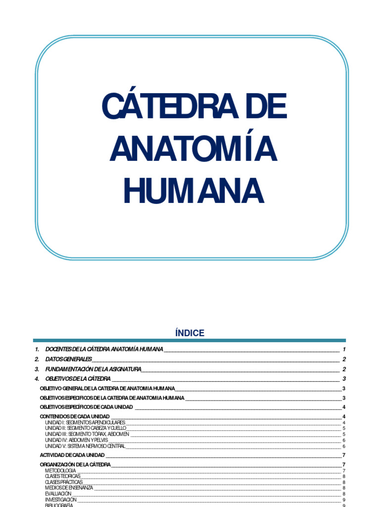 Catedra De Anatomia Descargar Gratis Pdf Abdomen Cerebro