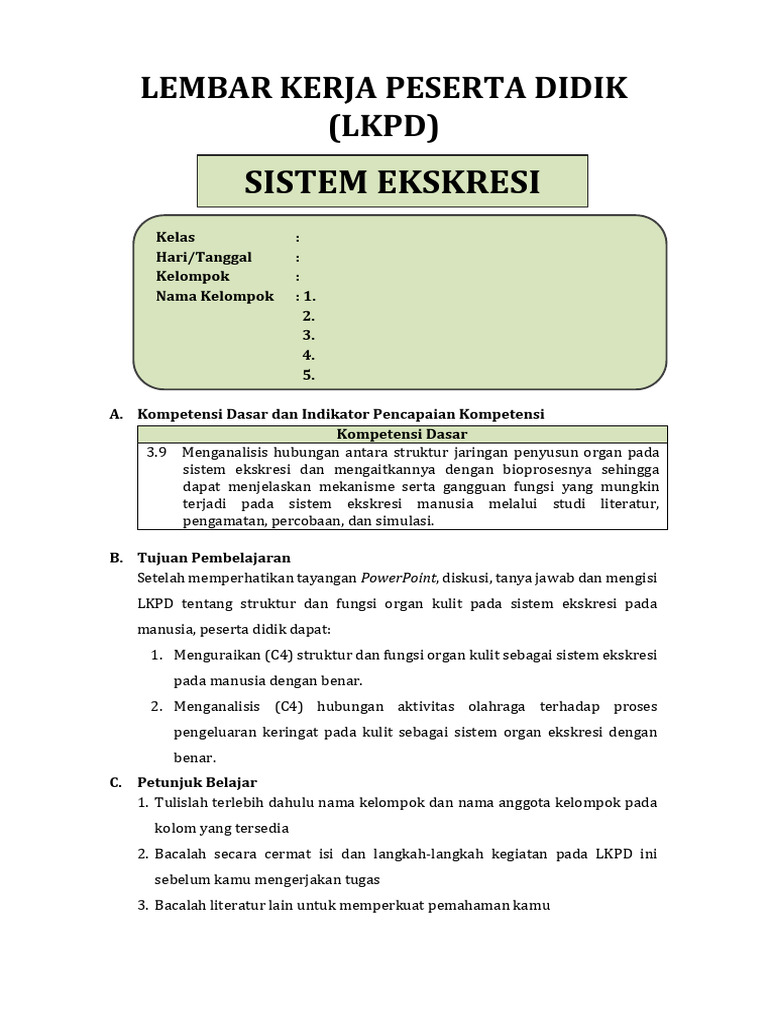 LKPD Ekresi Organ Kulit | PDF | Komputer