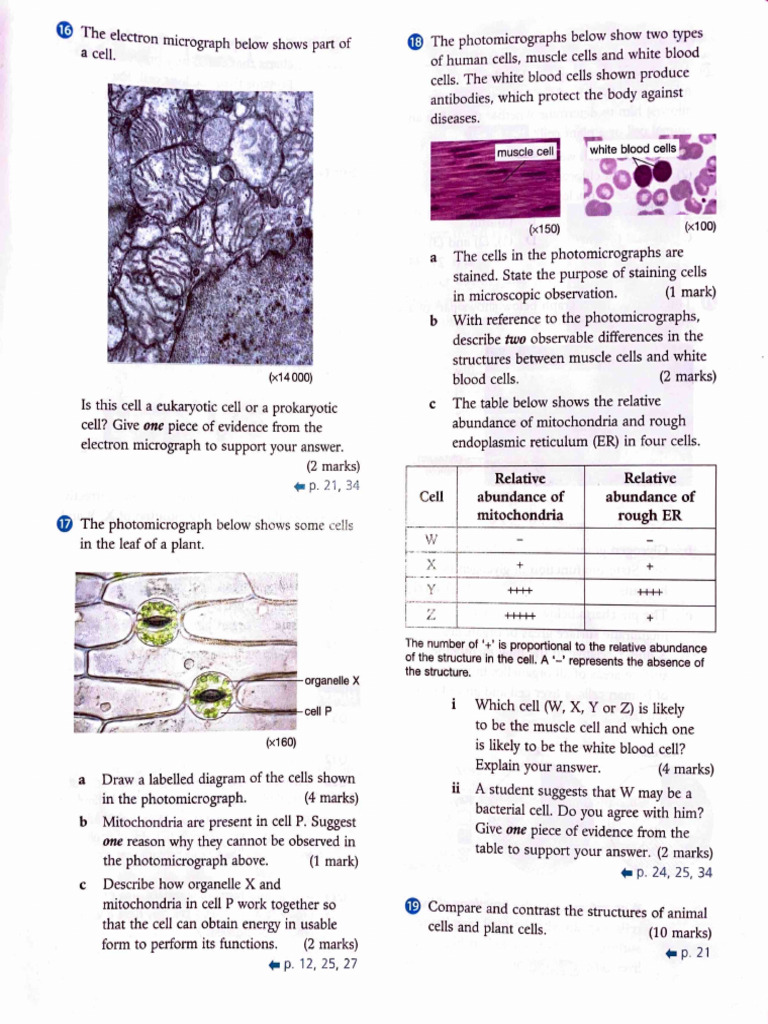 Bio ch.2 Exercise | PDF