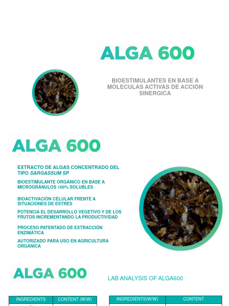 Alga 600 | PDF