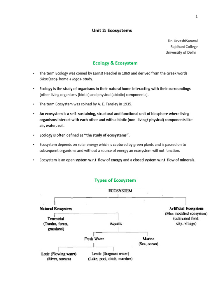 Unit 2 Ecosystem - 2 | PDF | Food Web | Primary Production