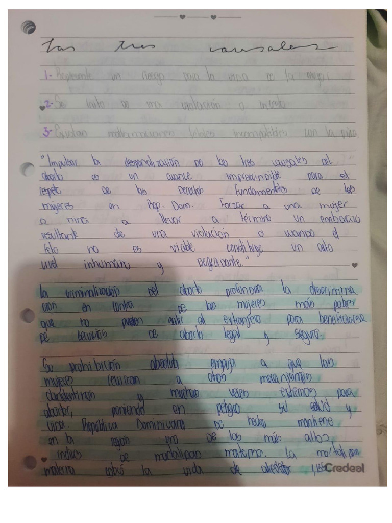 Las 3 Causales Del Aborto | PDF