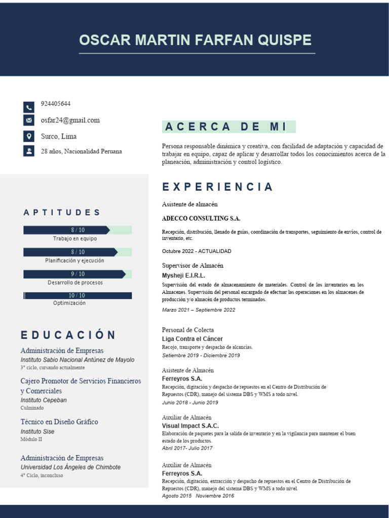 CV Oscar Farfan Actual | PDF