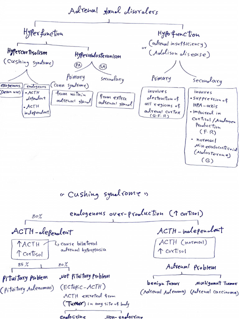 ملخص adrenal gland | PDF | Adrenocorticotropic Hormone | Adrenal Gland