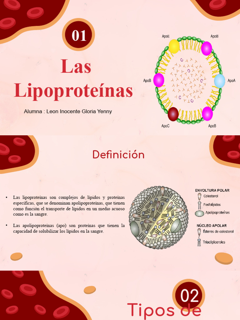 Las Lipoproteínas | PDF | Lipoproteína | Moléculas activas de membrana