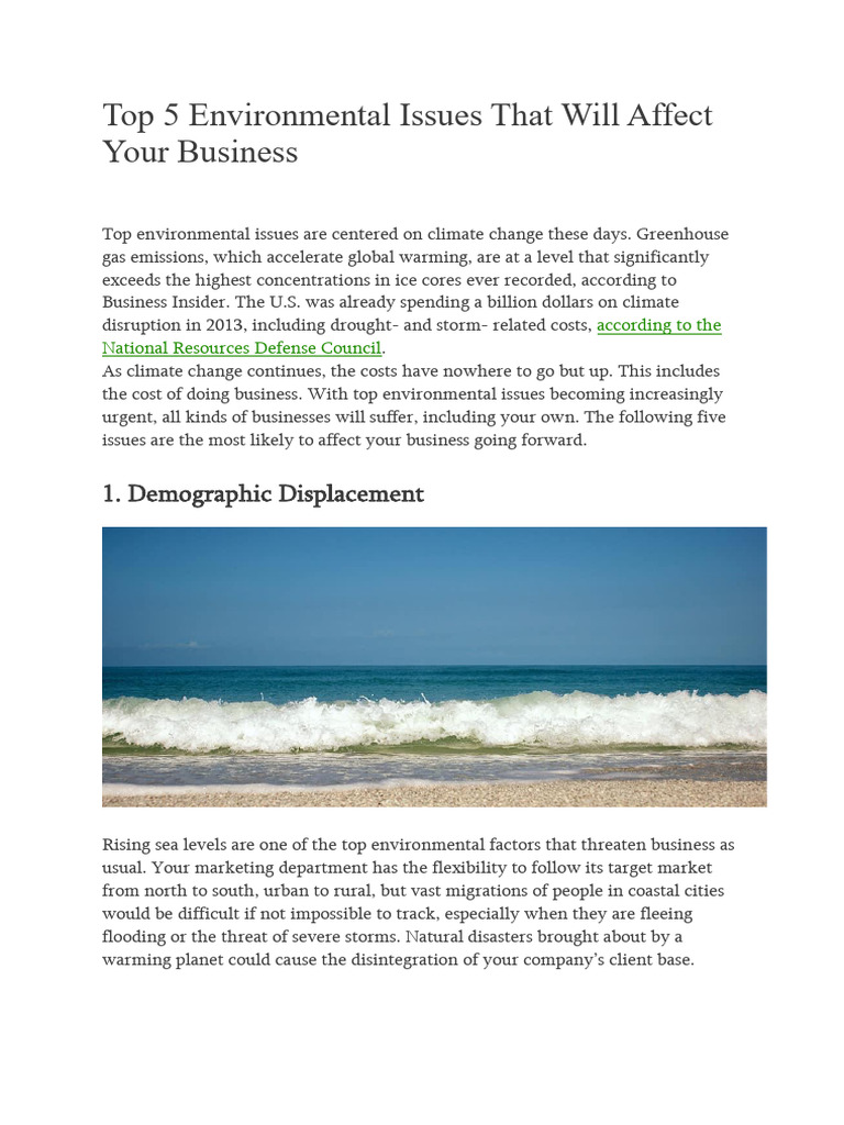 Top 5 Environmental Issues That Will Affect Your Business | PDF ...