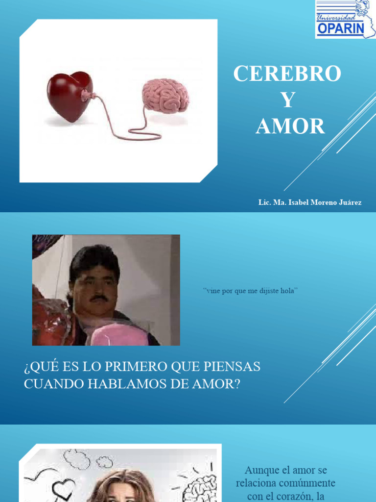 Amor y Cerebro: Química del Enamoramiento | PDF | Amor | Cerebro