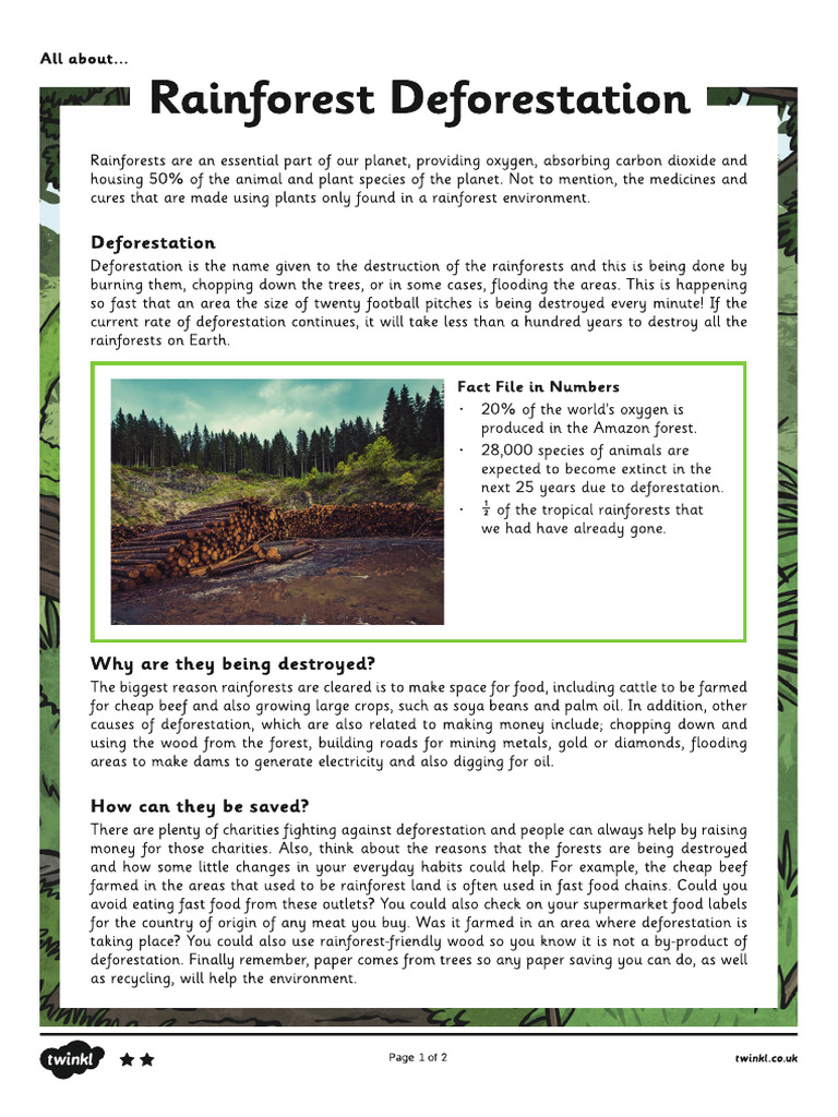 Deforestation Reading Comprehension Blue | PDF