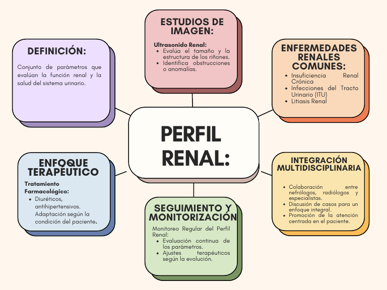 Mapa Perfil Renal | PDF
