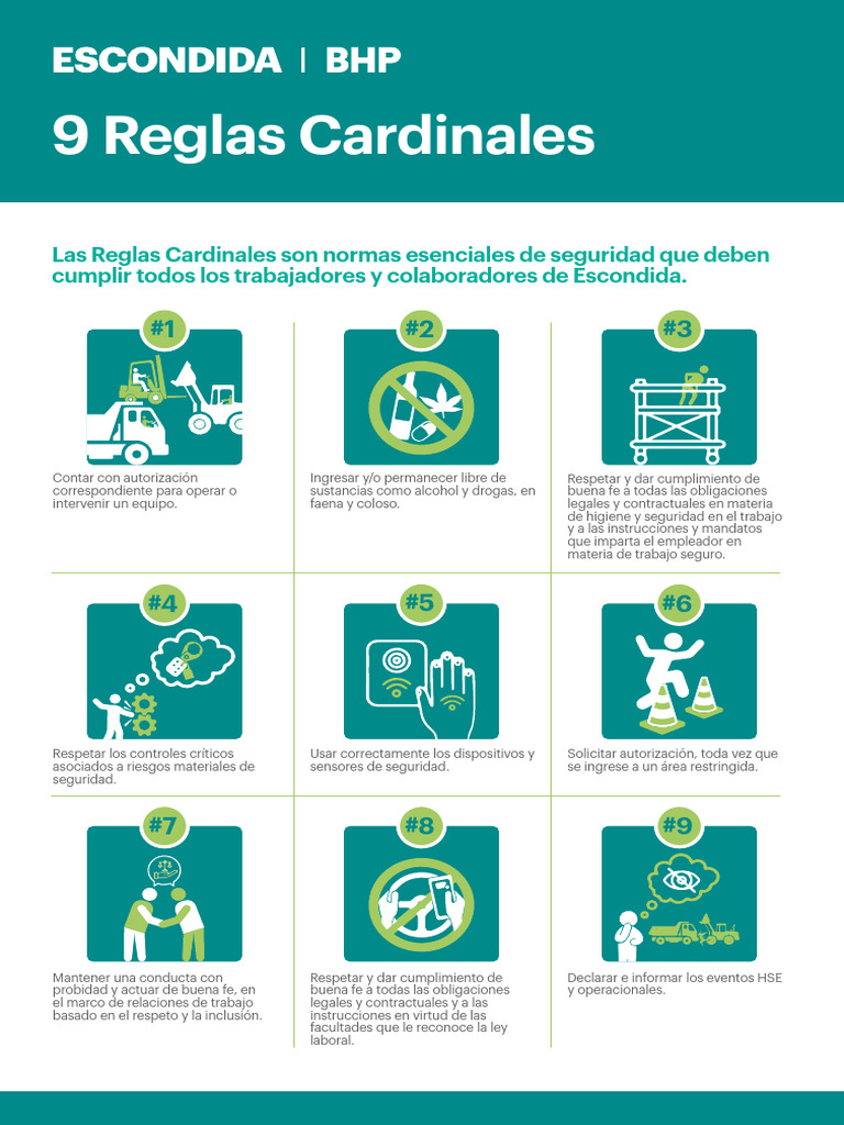 Afiche Reglas Cardinales | PDF