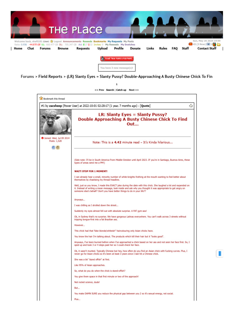 ThePlace __ View Topic __ (LR) Slanty Eyes = Slanty Pussy_ Double-Approaching a Busty Chinese ...