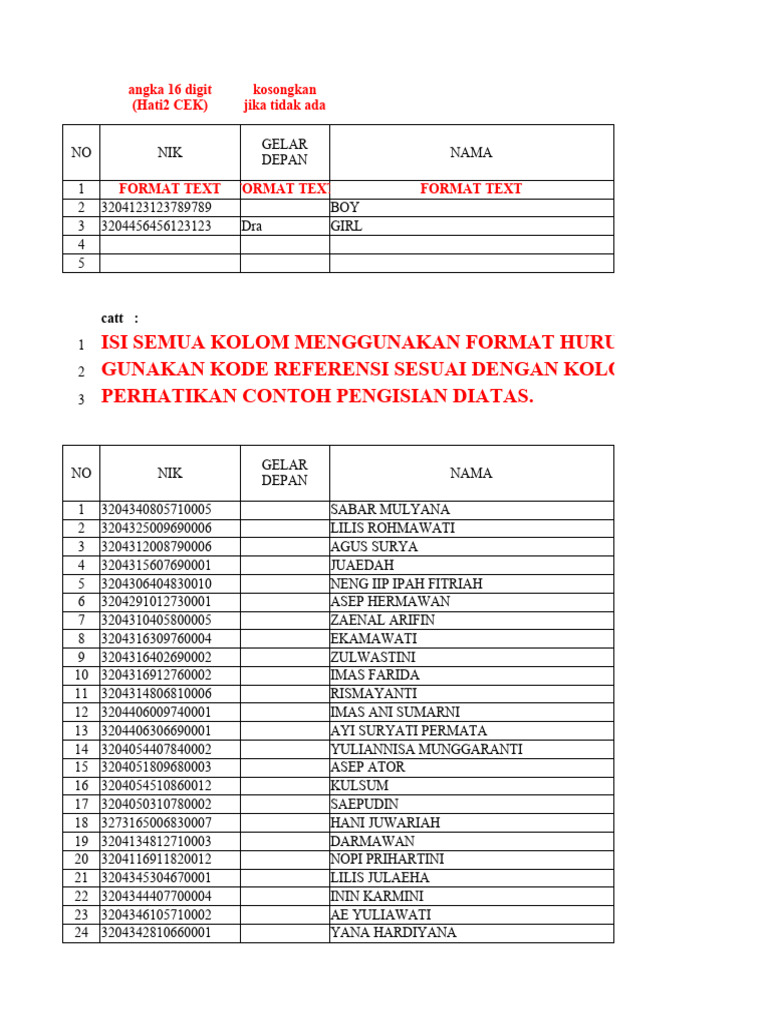 Format Pengisian Updating Data Non Asn Hasil Pendataan Tahun 2022 | PDF