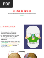 Anatomie des Os du Visage Humain | PDF | Anatomie humaine | Appareil ...