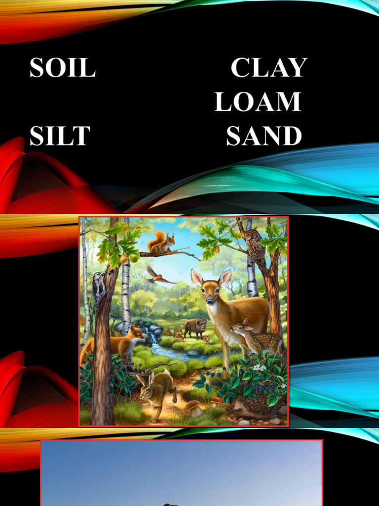 Presentation COT 2 GRADE 4 | PDF | Soil | Clay