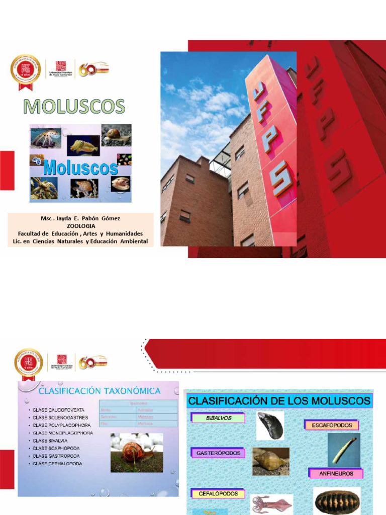 MOLUSCOS Zoologia 2024 Anelidos, Nematodos y Platelmintos | PDF ... MOLUSCOS Zoologia 2024 Anelidos, Nematodos y Platelmintos | PDF ...