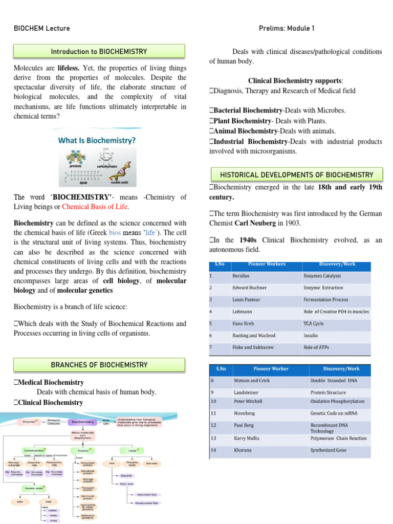 Biochem Lec PPT 1 | PDF | Carbohydrates | Biochemistry