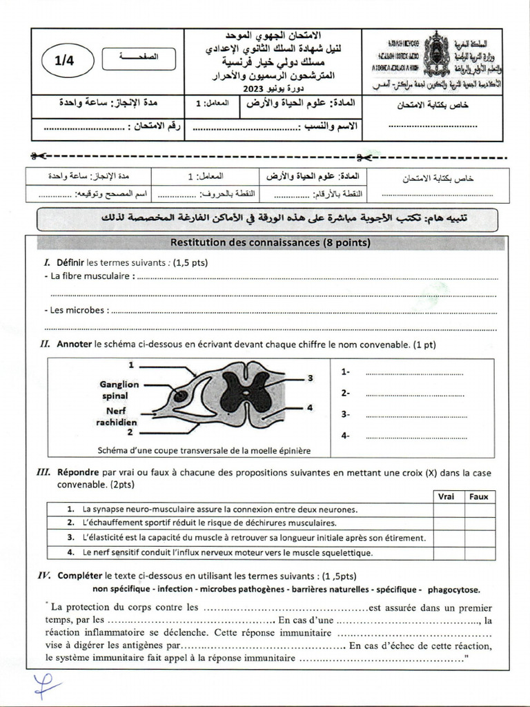 Marakech SVT - FR S | PDF