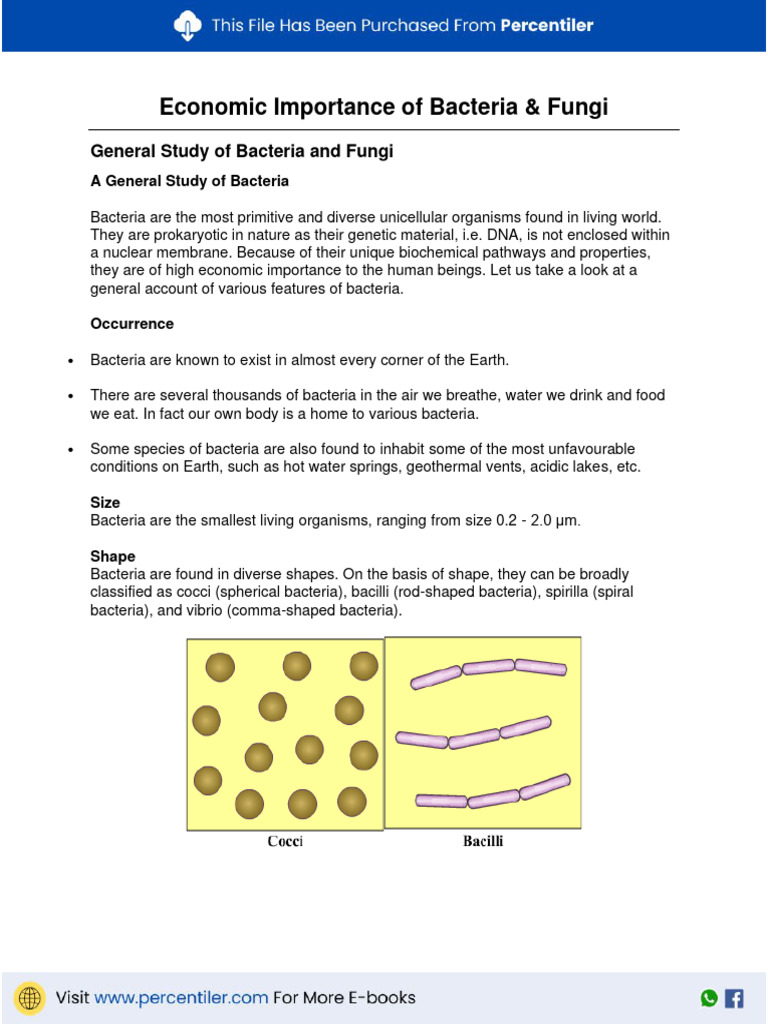Economic Importance of Bacteria & Fungi | Download Free PDF | Bacteria ...