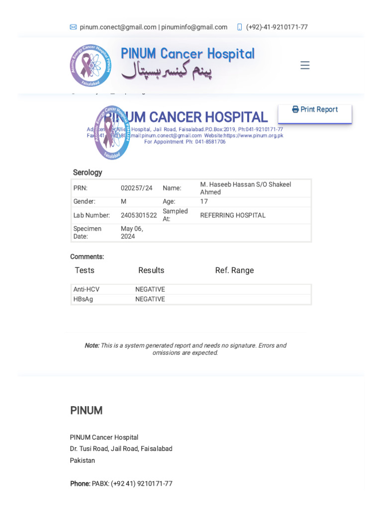Report - PINUM Reporting | PDF