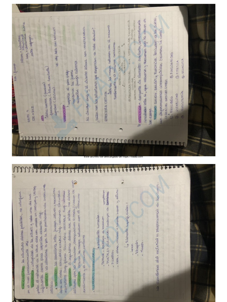 Resumen Primer Parcial Libro Ite | PDF | Negocios