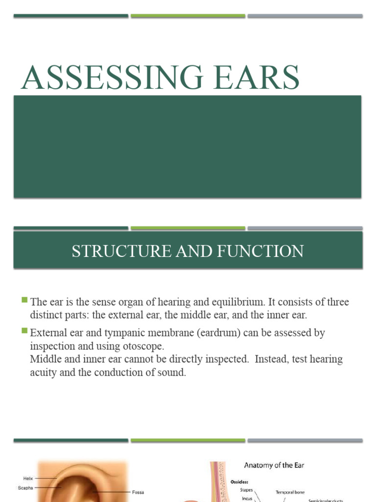 Ears | PDF | Ear | Hearing