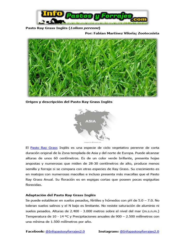 Ficha Técnica del Pasto Ray Grass Inglés (Lolium perenne) | PDF | Pasto | Botánica