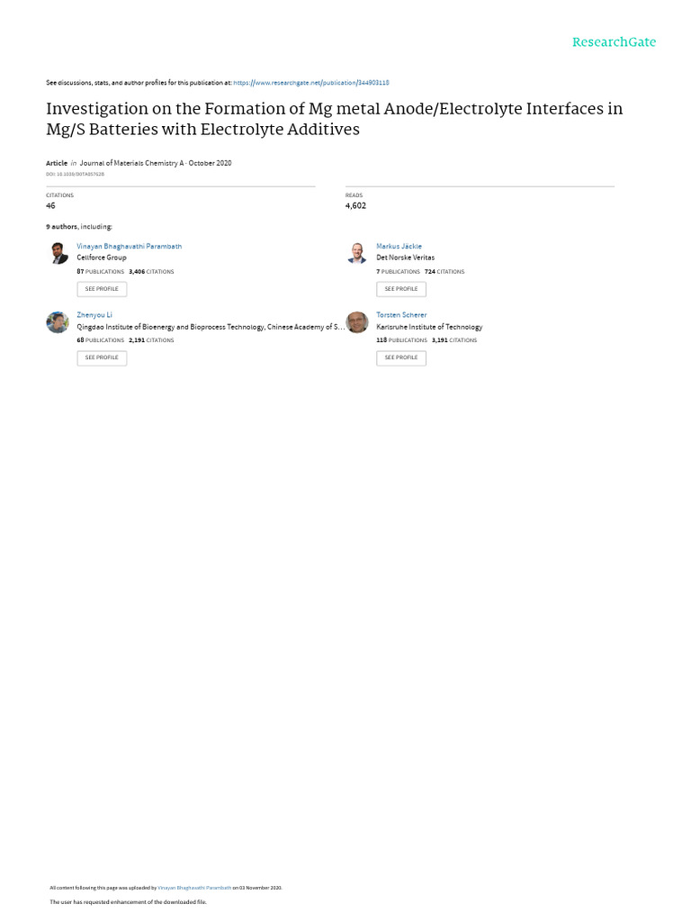 JMCA VBP MG Sinterface2020 | PDF | Magnesium | Electrolyte