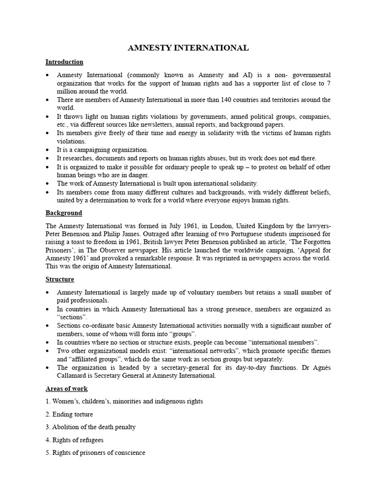 Amnesty International | PDF | Amnesty International | Justice